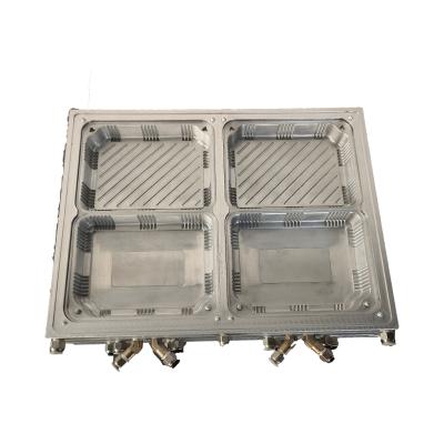 China HXWMold Fresh Fruit Box Blister Packaging Box Plastic Food Container Thermoforming Machine Mould for sale