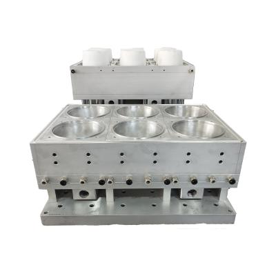 China Eco Friendly Recyclable Plastic Dessert Tray Mold Vacuum Forming Solution by ECO Mold Solution for sale