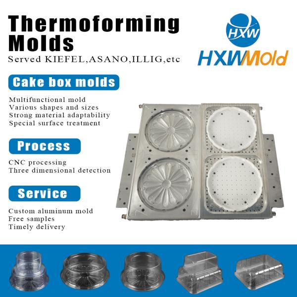 Quality Plastic Mould Multi Station Thermoforming Cake Base Mould for sale