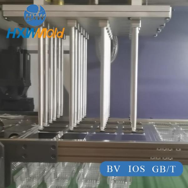 Quality High Density Plastic Thermoforming Mold Custom Food Container Packaging Mold for sale