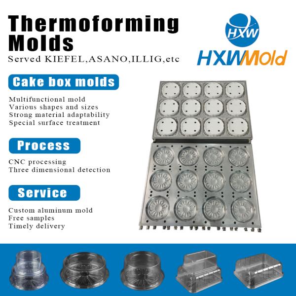 Quality Multi Station Thin Wall Plastic Mould Thermoforming Cake Base Mould for sale