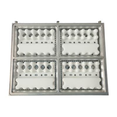 China Positive Negative Pressure PET Egg Tray Mold Custom Thermoforming Molds for sale