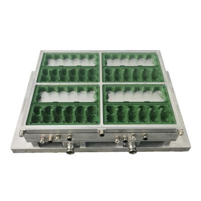 China High Precision Thermoforming Egg Packaging Mold PET Plastic Tray Mold OEM for sale