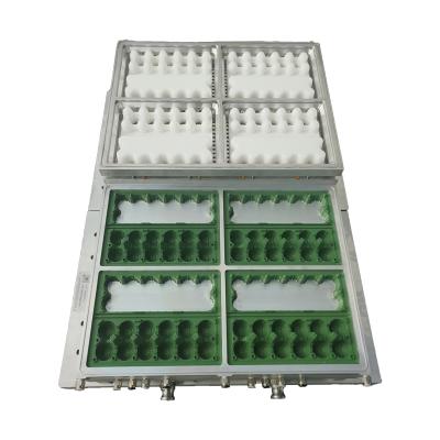China Customizable PET Egg Tray Mold Polishing Surface 12 Cavity Blister Mold for sale