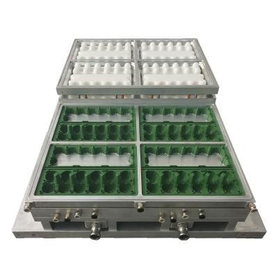 China OEM Plastic Egg Tray Mold 12 Cavities Thermoforming Die Set Mold for sale