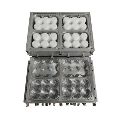 China High Precision CNC Thermoforming Fruit Boxe Mold Plastic Aluminum Fruit Packaging Mold for sale