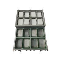 Quality Thermoforming PET Fruit Box Mold Packaging Transparent Blister Mold for sale