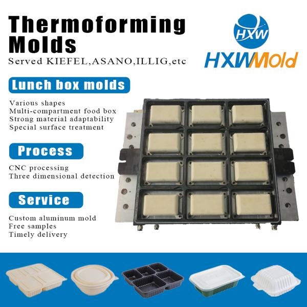 Quality High Precision PP Lunch Box Mold Vacuum Forming Meal Box Mold Customized for sale