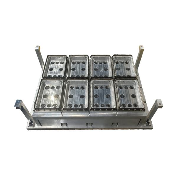 Quality Multi Cavity Fast Cycling Mold for Disposable PP Muffin Tray Production for sale