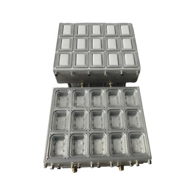 China Disposable PET Rectangular Tray Thermoforming Mold For Cold Storage Fresh Food Packaging for sale