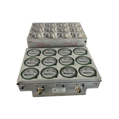China Fast Food Box Lid Fresh Fruit Packing Container Lids Thermoforming PP Plastic Design for sale