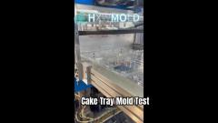 Rectangular Cake Box Thermoforming Mold Testing