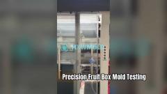 Fruit Box Thermoforming Mold Trial Testing for Packaging Production