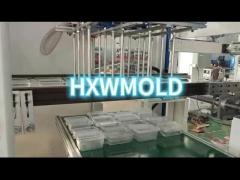 Small Compartment Tray Thermoforming Mold Trial Test on Automatic Forming Machine