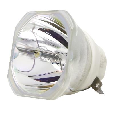 中国 映画館のための高い明るさプロジェクター裸ランプ300W 54*54MM ELPLP95 販売のため