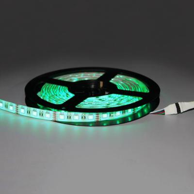 中国 12V 24V 5050 RGB LEDの滑走路端燈の家部屋の装飾5mの長さ10mmの幅 販売のため