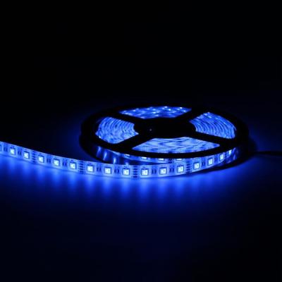 中国 12V 24V 5050 RGB LEDの滑走路端燈の家部屋の装飾5mの長さ10mmの幅 販売のため