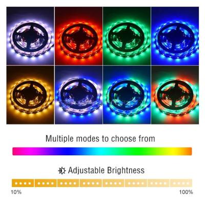 中国 12V 24V 5050 RGB LEDの滑走路端燈の家部屋の装飾5mの長さ10mmの幅 販売のため