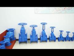 gate valve