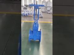 gate valve