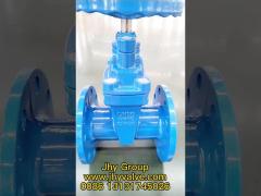 gate valve