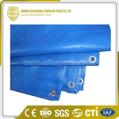 China Garden Cover Tarps Camping Ground Sheet Tarpaulins for sale