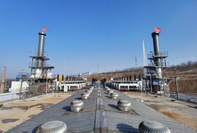 Cina 1MW Yuchai YC16VCN Industrial Tail Gas Power Generator Set 1000KW Generatore completamente automatico in vendita