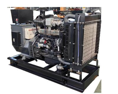 Cina 50/60Hz 4Z2.7-G21 SDEC Diesel Generator 20KW in vendita