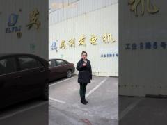 Motore Yuchai OEM YC6A245L-D21 3fase 150kw187.5kva KVA CE ISO approvato