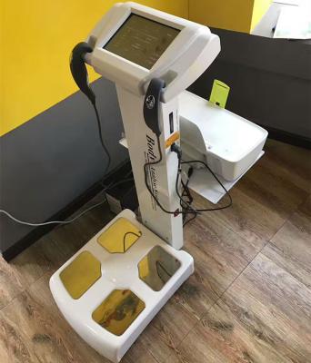 China Original Factory High Quality Body Composition Analyzer Body Fat Analyzer (GS6.5B) for sale