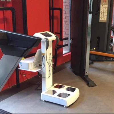 China Body Composition Analyzer Fat Analyzer Machine with Printer(GS6.5B) for sale