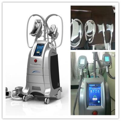 China 2017 New Fat Freezing Cryolipolysis Beauty Machine for Salon for sale