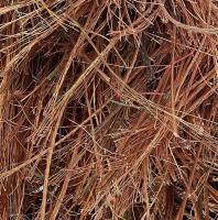 China High Purity 99.99% Copper Wire Scrap 3mm Millberry for Industrial Filtration and Cable for sale
