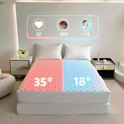 China OEM Control de zonas dobles Sistema de enfriamiento de cama y manta cálido y seguro Pod Pad de cama para invierno y verano colchón Topper en venta