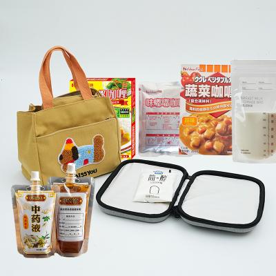 China USB powered food heating bag with oxford cloth and food grade insulated lining providing steady mild heating for multiple food containers for sale