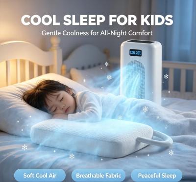 China Electric Heating Pillow Equipped with Semiconductor Temperature Control Technology for Stable and Comfortable Temperature for sale