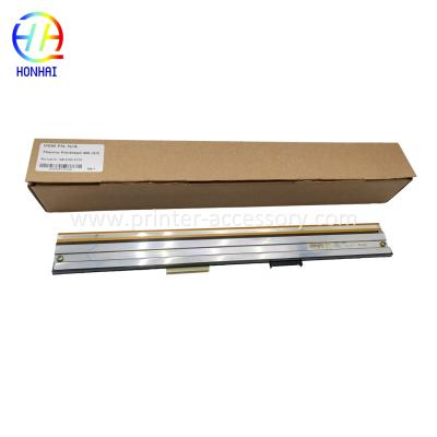 China Head Printhead For Riso GR2750 GR1750 GR3750 FR2950 FR3950 Printer Thermo Printhead 400 for sale