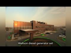 Fg Wilson 184kw 230kVA 200kw 250kVA 240kw 300kVA Power Diesel Generator  Reliable Industrial
