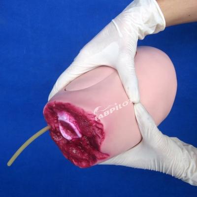 Cina Modello avanzato in PVC La soluzione ideale per infermieri che operano traumi agli arti inferiori e amputazioni alle cosce in vendita