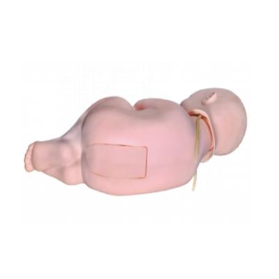 China Advanced PVC Infant Pediatric Lumbar Puncture Nursing Practice Simulator Baby Doll Manikin for sale