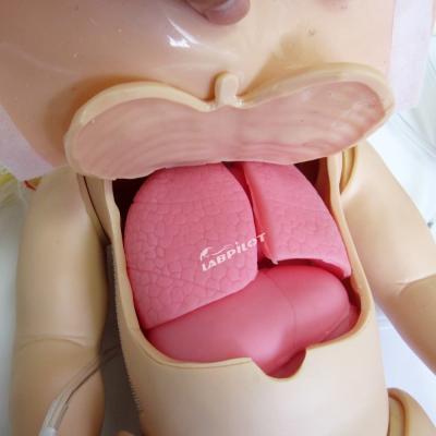 China Advanced PVC Manikin for Full-functional Pediatric CPR and Infant Nursing Simulation for sale
