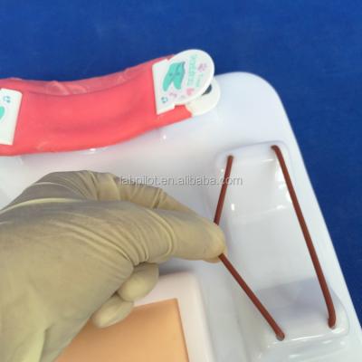 China Comprehensive Cutting and Suturing Practice Kit for Multiple Surgical Skills Training for sale