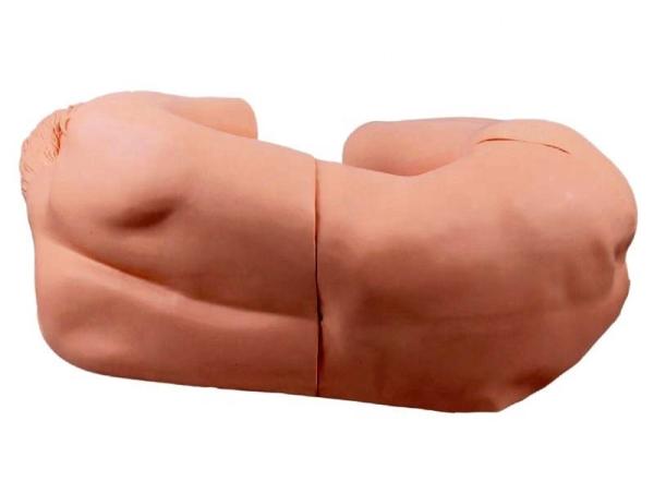 Quality Advanced Medical Model Lumbar Puncture Skills Training for Clinical Nursing for sale