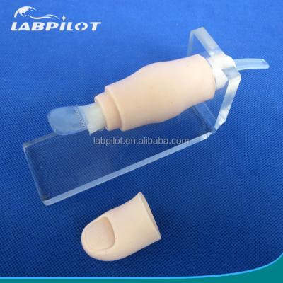 China Medical Science 2017 Ingrown Toenail Simulator Partial Nail Avulsion Training Finger Model for sale