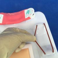 China Advanced PVC Multi-functional Surgical Skills Training Model for Comprehensive Training for sale