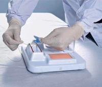 China Advanced PVC Multi-functional Surgical Skills Training Model for Comprehensive Training for sale