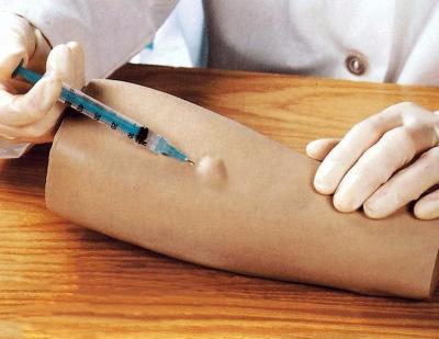 China Skin Test Practice Simulator Human Life Size Intradermal Injection Training Arm Model for sale
