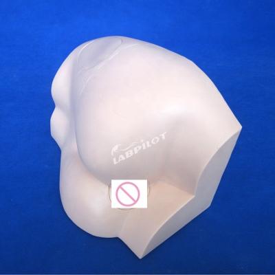 China Advanced PVC Intramuscular Injection Teaching Simulator for Medical Science Subject for sale