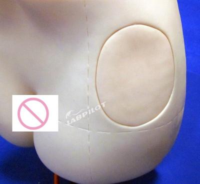 China Advanced PVC Intramuscular Injection Teaching Simulator for Medical Science Subject for sale