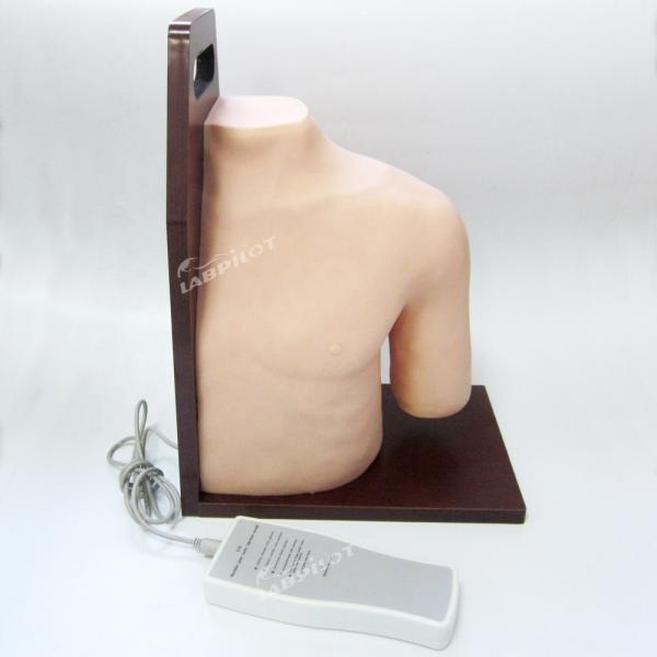 Quality Subject Medical Science Manikin Electronic Shoulder Joint Injection Training Simulator Nursing Model for sale